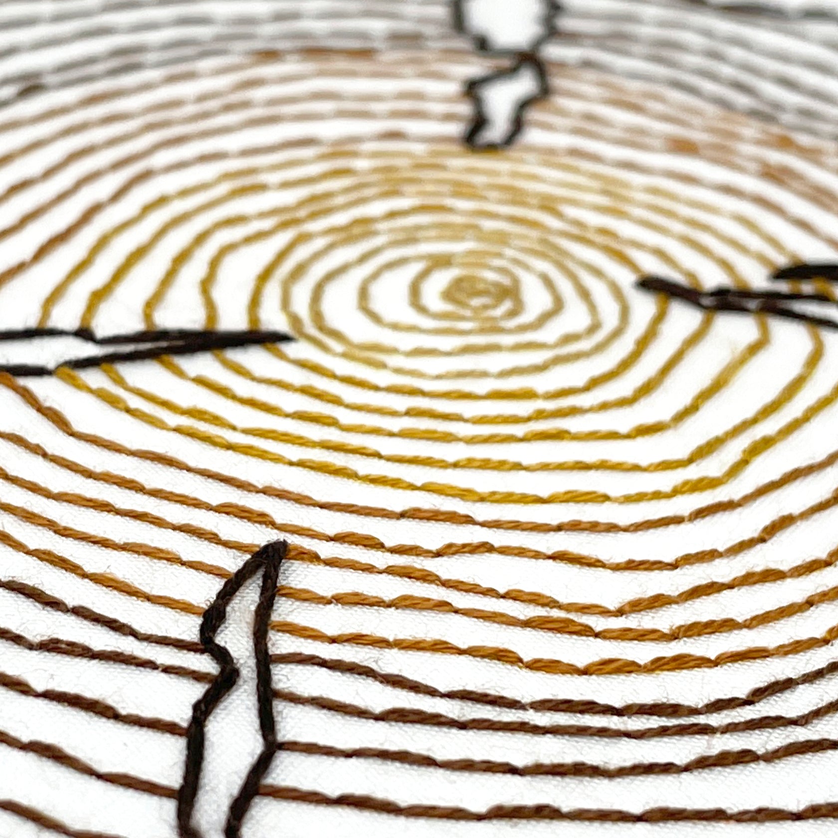 embroidery kit | Tree Rings – Embroidery and Sage